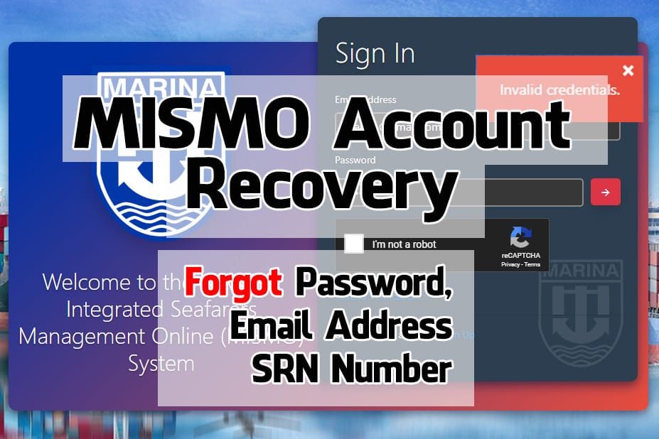 How to Recover Your MARINA MISMO Account- Forgot Password, Email ...