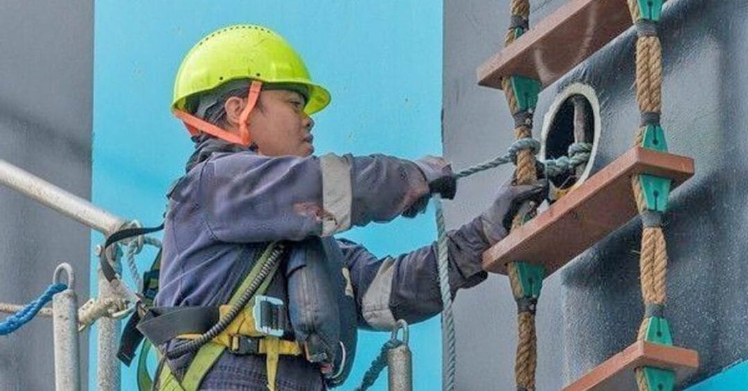 How to Prevent Accidents Involving Ship’s Combination Ladders | Captain ...