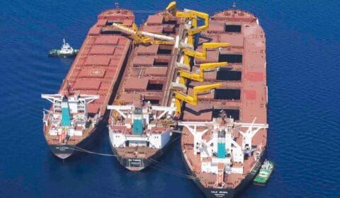 🚢 Types of Bulk Carriers by Design: A Seafarer’s Guide